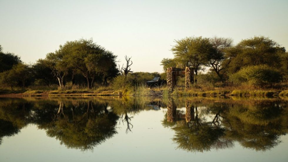 Gallery | Diphôfu Hunting Safaris